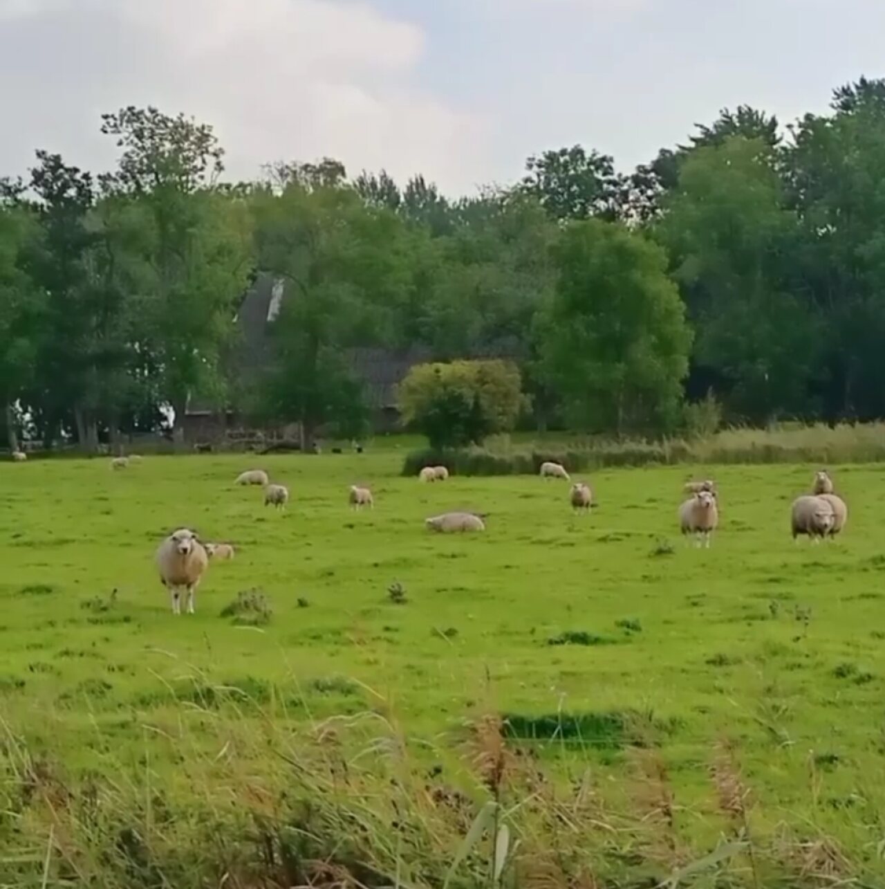 Glaube - © Bugenhagen-Kirchengemeinde Neumünster